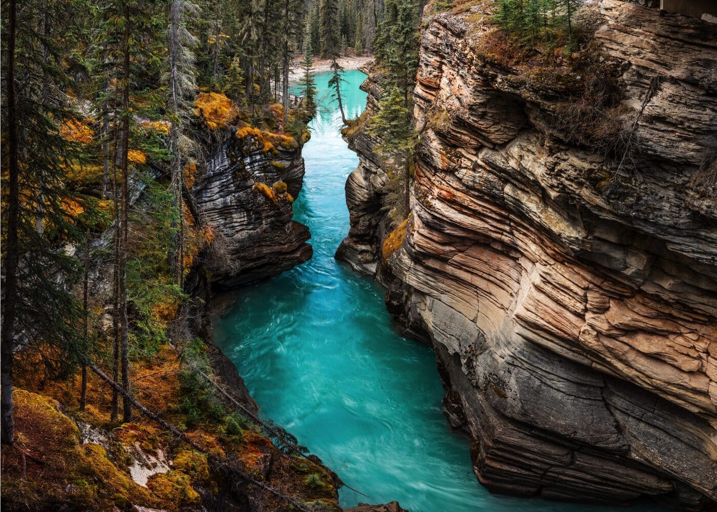 Que faire au Canada : top 12 des choses à voir et visiter