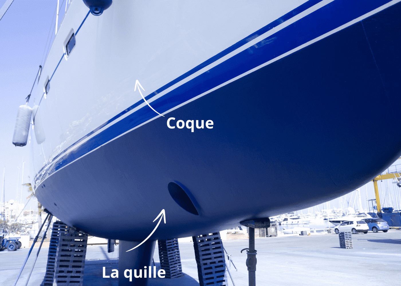 La voile pour les nuls : les essentiels à connaître