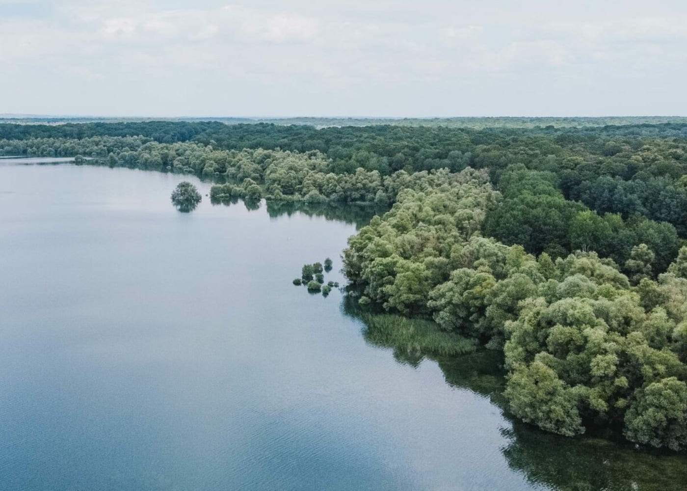 Voyage au cœur de la nature : ces parcs naturels en France vont vous ...