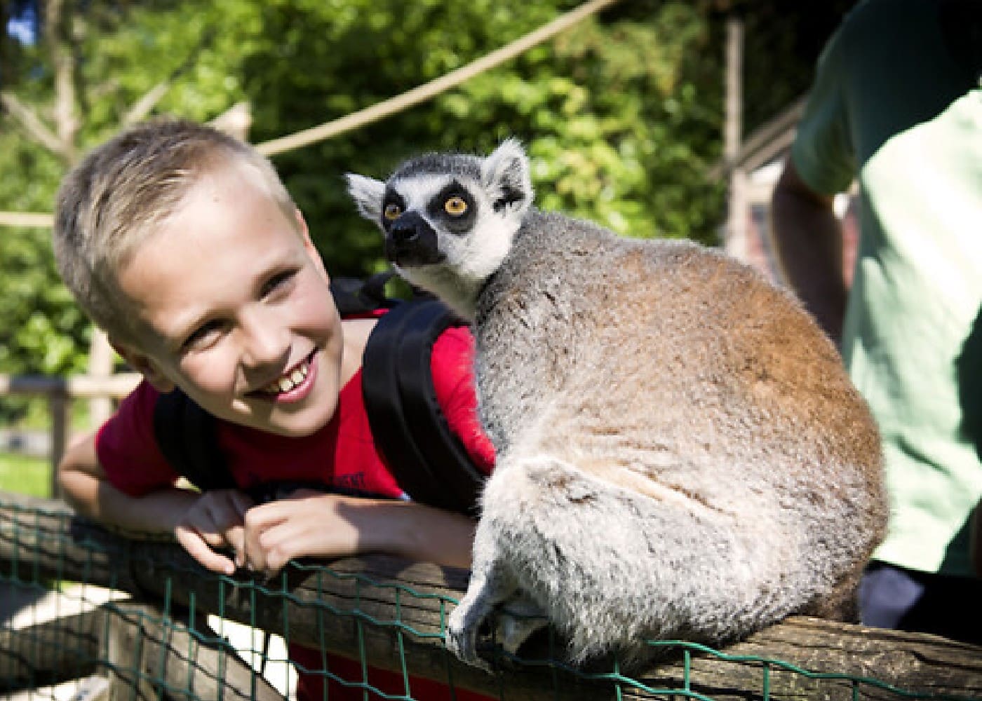 Parc d'attraction belge Bellewaerde : guide pour une journée magique en ...